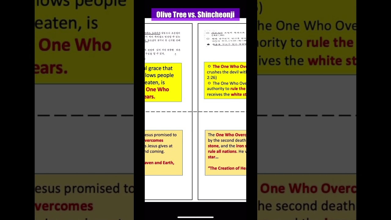 Olive Tree Vs Shincheonji - Examining The SCJ Church